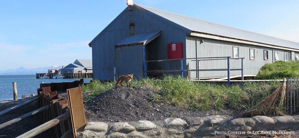 Fire damage halts production at Peter Pan’s Port Moller plant ...