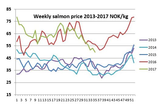 New salmon price drop heralds the lowest levels of the year ...
