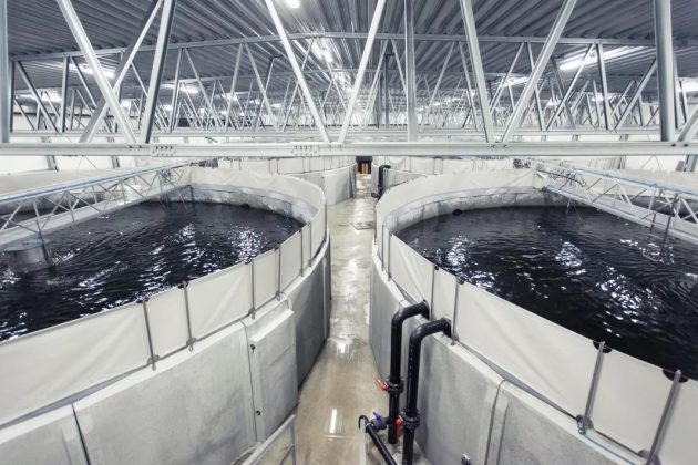 These are the leading land-based salmon farms in the world right now ...