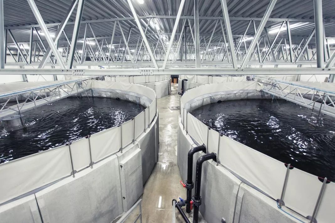 These are the leading land-based salmon farms in the world right now ...