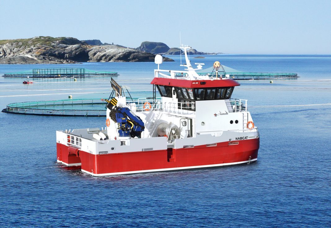 Johnson Marine orders ‘largest vessel yet’ from Moen Marin | SalmonBusiness