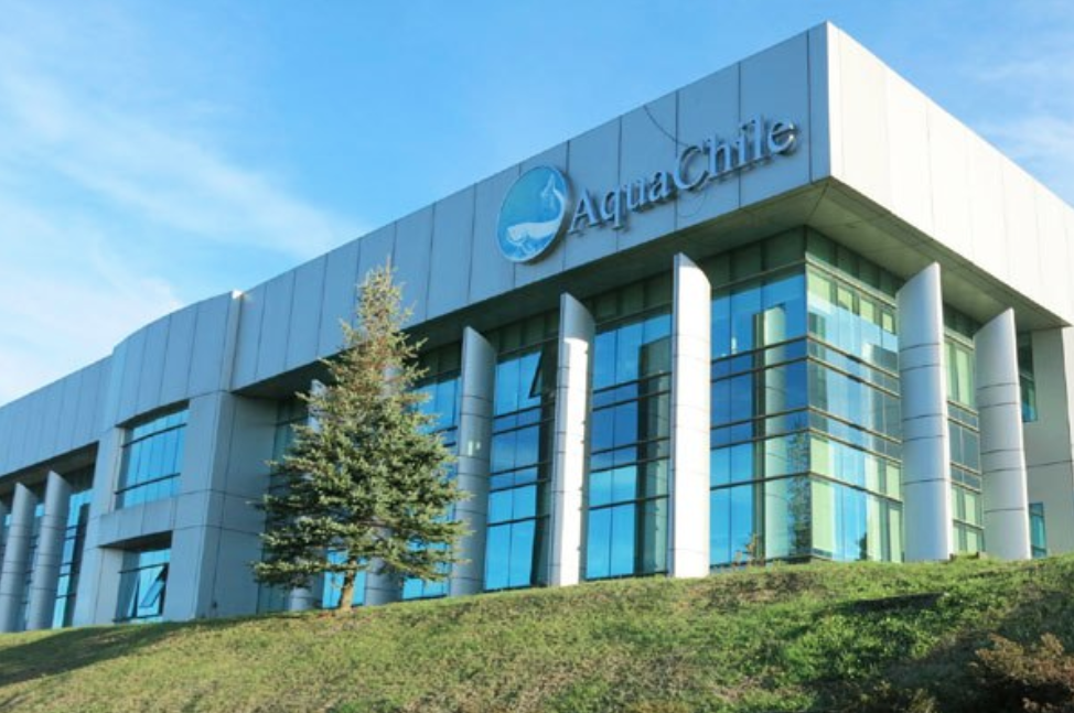 Chile’s largest salmon farmer ends lake hatchery operations ...