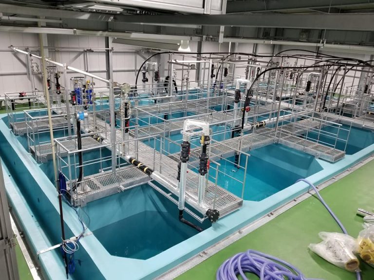 These are the leading land-based salmon farms in the world right now ...