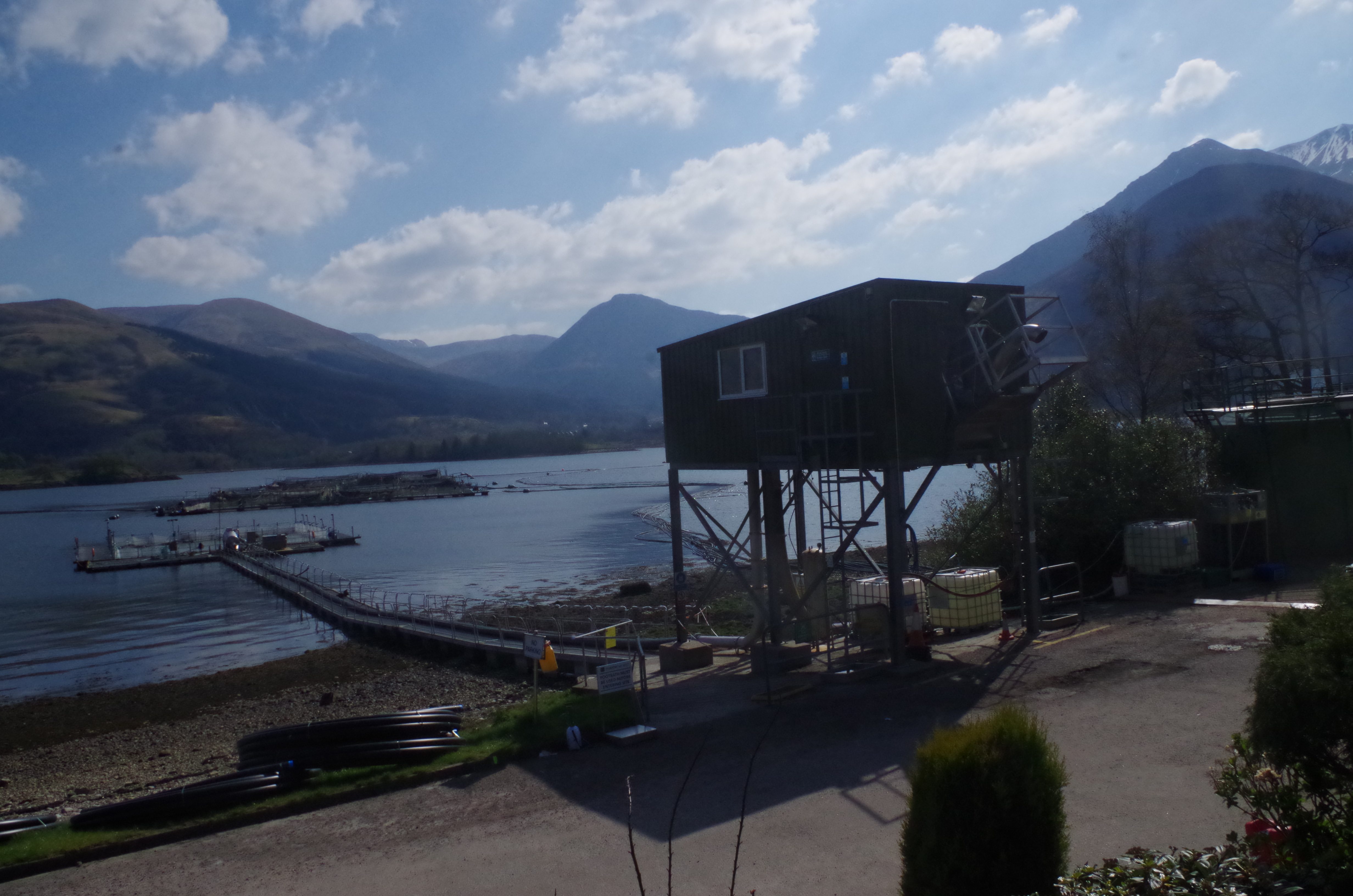 Most wellboats can’t reach Mowi Scotland’s best performing site ...