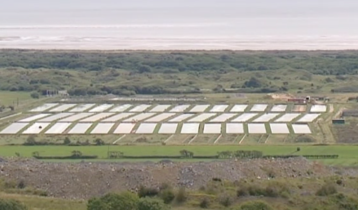 The strange case of the con and the ragworm ponds | SalmonBusiness