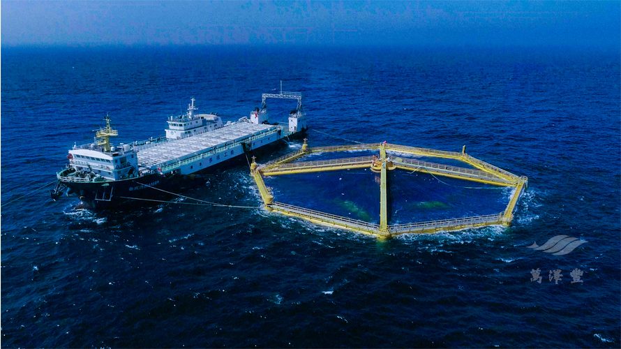 This is why the Chinese offshore salmon farm “Deep Blue 1” was taken ...