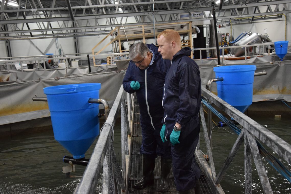 Danish Salmon: Nissui and Marubeni invested so it could double ...