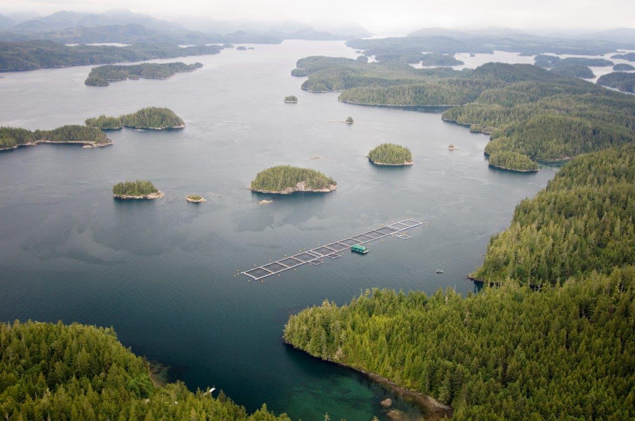 Five salmon farms decommisioned (with more to come) as First Nations ...