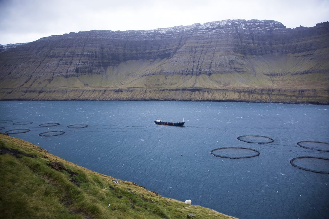 Scotland: Bakkafrost’s biggest opportunity and challenge | SalmonBusiness