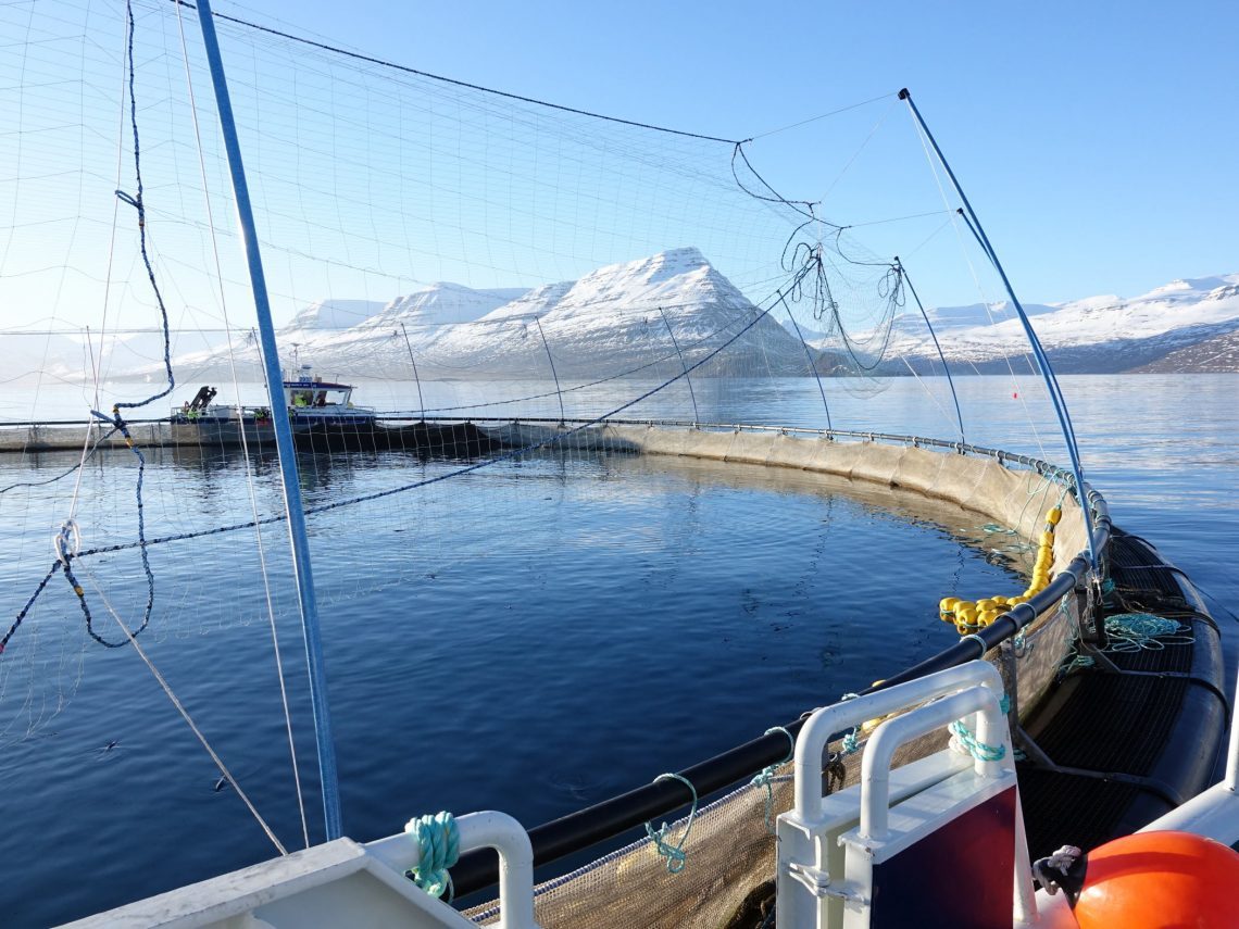 Ice Fish Farm completes acquisition of Laxar | SalmonBusiness