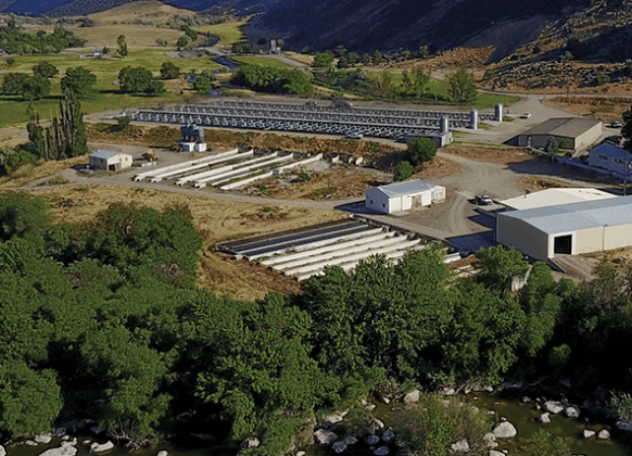 Riverence Holdings acquires rival trout farmer Clear Springs Foods, now ...