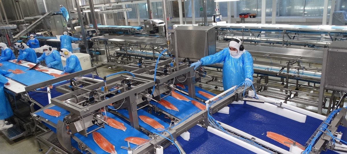 Prices drive recovery of Salmones Camanchaca’s Q1 results | SalmonBusiness