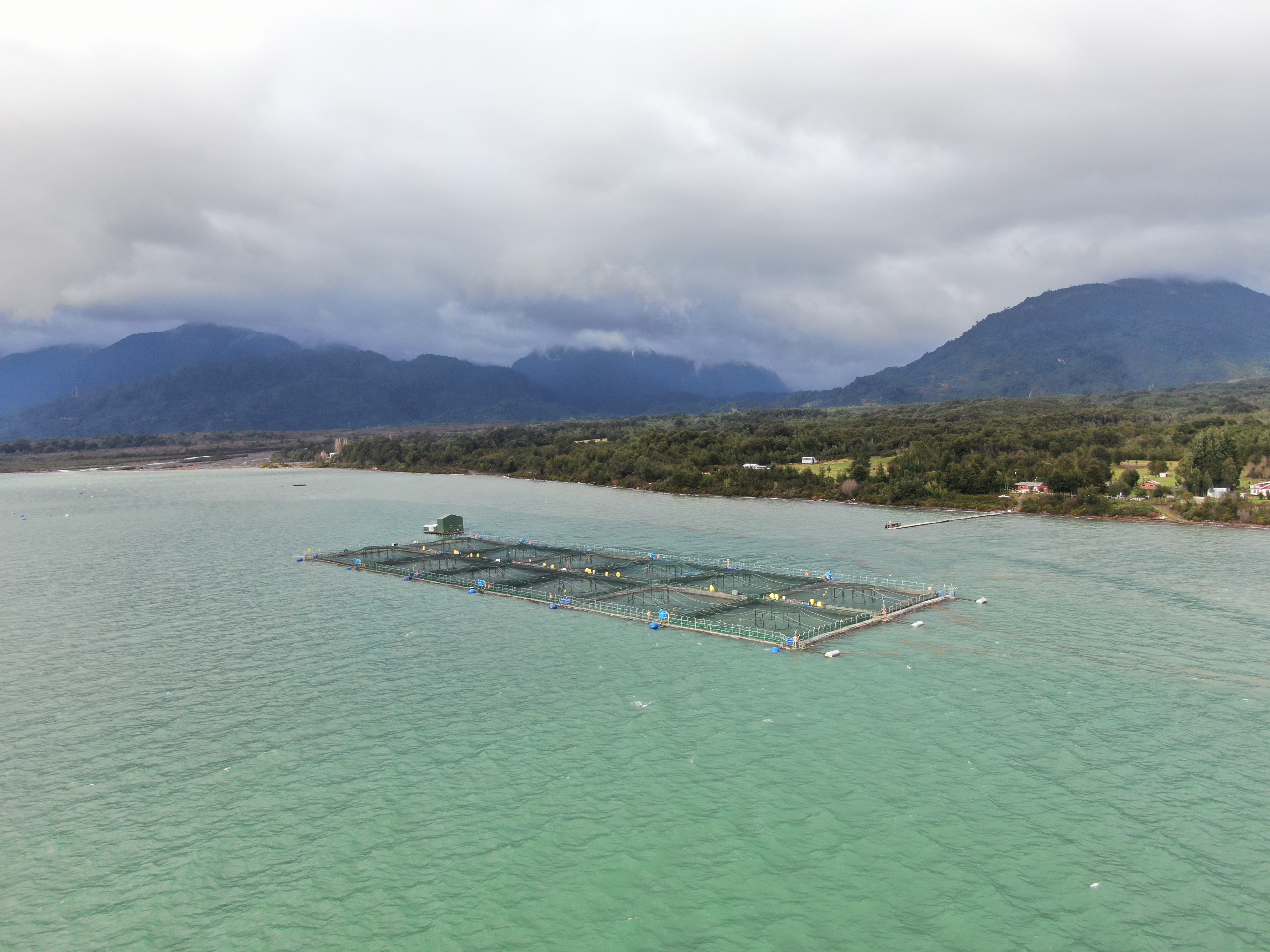 ISA causes $5 million loss for Nova Austral/Trusal joint venture ...