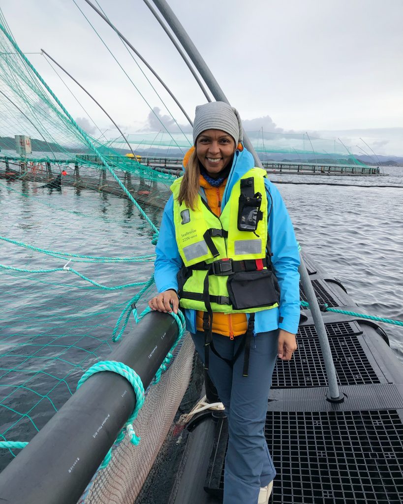 Five appointments to Grieg Seafood’s new sales and market organisation ...