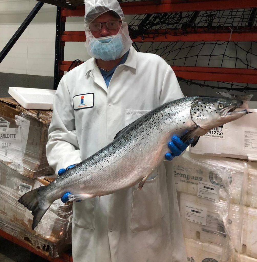 AquaChile’s ultra-premium brand Verlasso announces first Magallanes ...