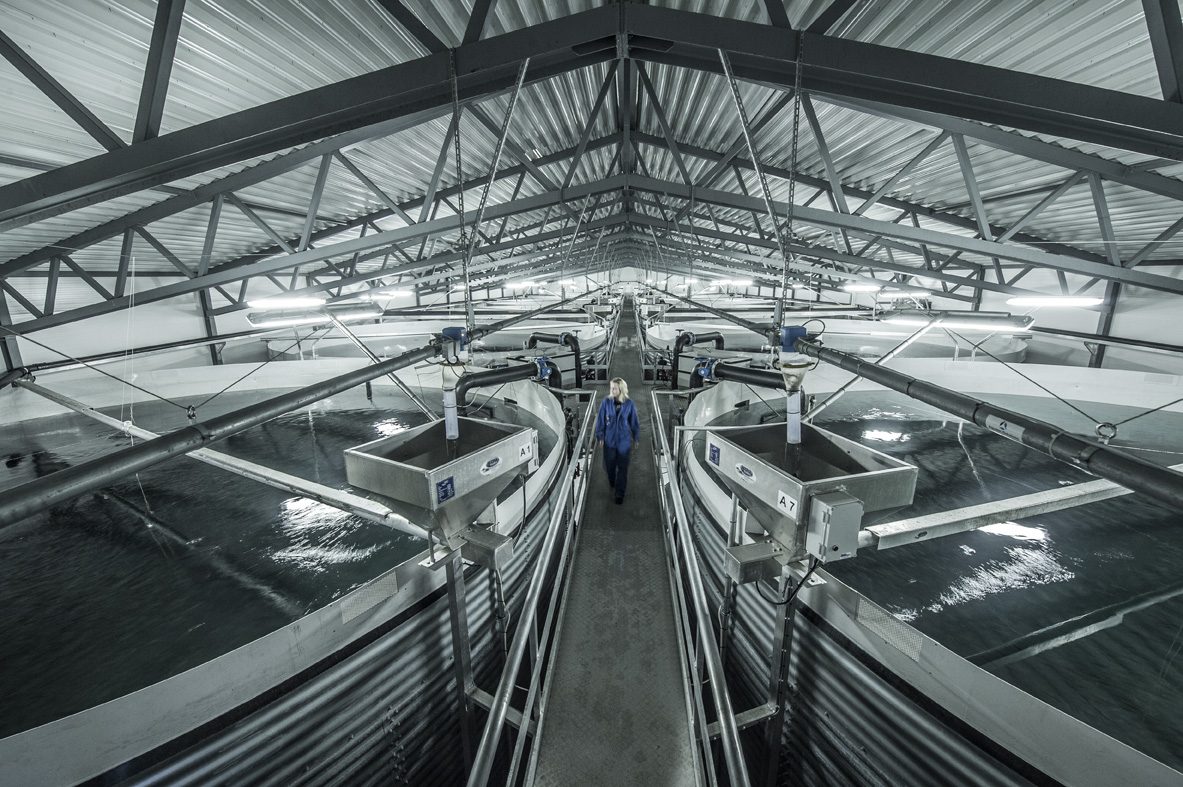 AKVA secures €30 million land-based contract with Mitsubishi-backed ...