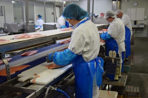 Spot price Norway: Down to EUR 7.54 / USD 8.84 | SalmonBusiness