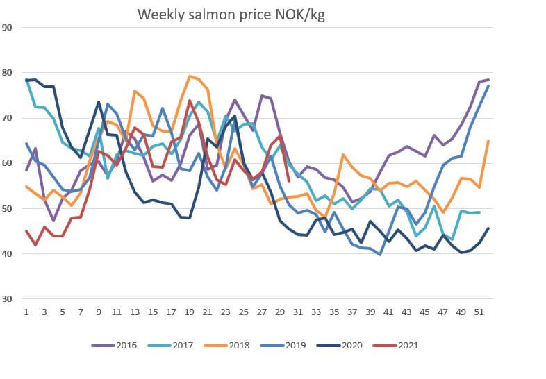 The drop in salmon price was not unexpected | SalmonBusiness