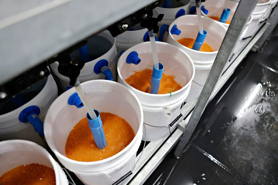 AquaGen’s new 50 million egg a year facility opens in Scotland ...