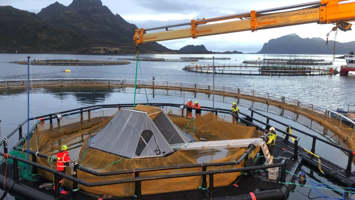 Entire facility equipped with machine learning iFarm setup for the ...