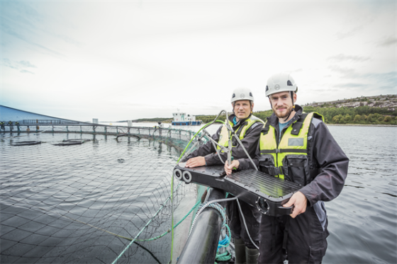 OptoScale lands underwater camera contract with Grieg in Canada ...