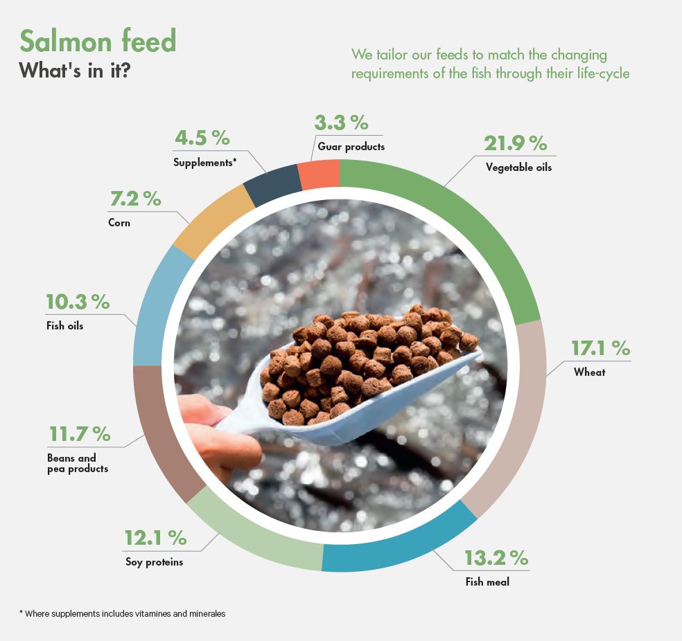 Climate change increasing mycotoxin levels in fish feed | SalmonBusiness