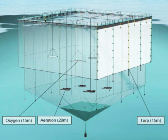 Grieg expanding use of new semi-closed salmon farm system in BC ...
