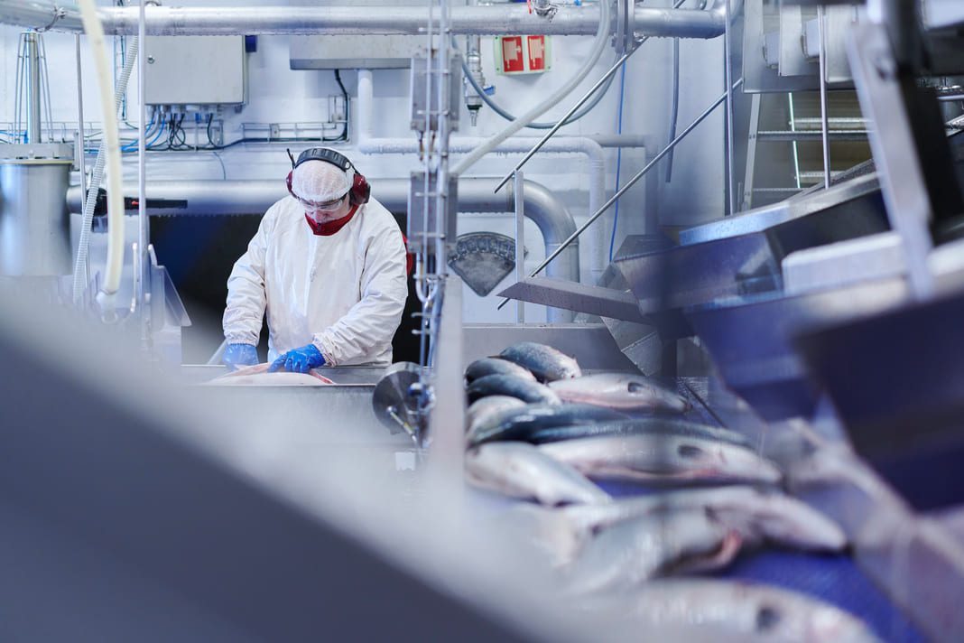 Grieg Seafood achieved an EBIT of €27 million in the fourth quarter ...