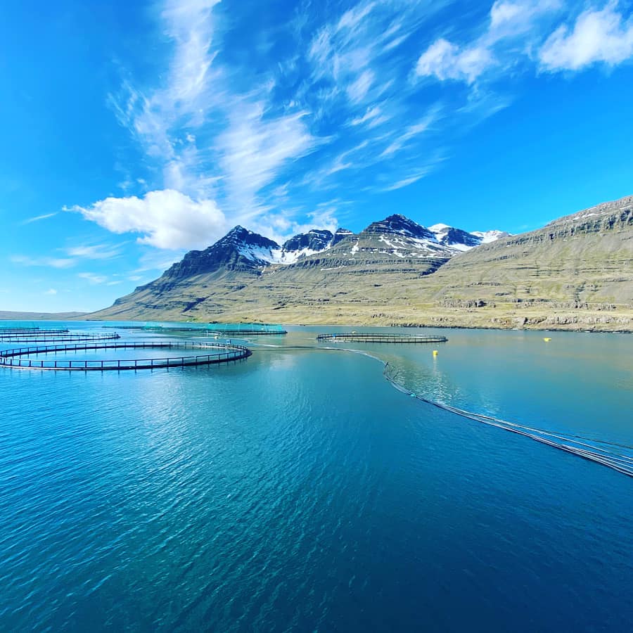Ice Fish Farm granted new 7,000 ton salmon farming licence | SalmonBusiness