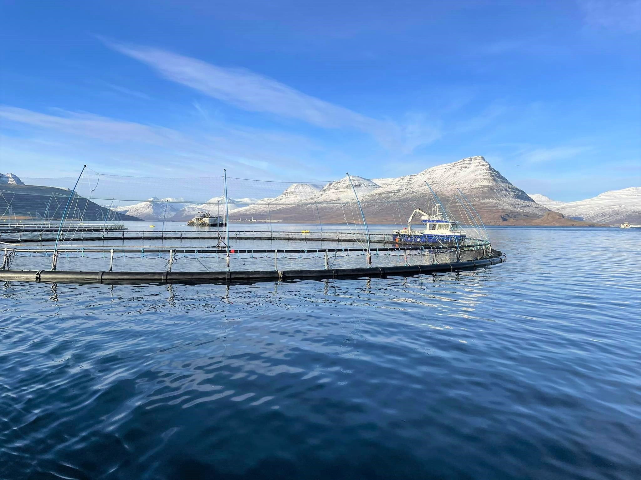 Ice Fish Farm board approves acquisition of Laxar | SalmonBusiness