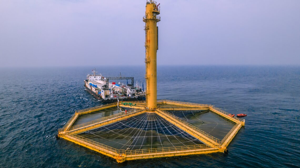 China successfully harvests first catch of Atlantic salmon from deep ...