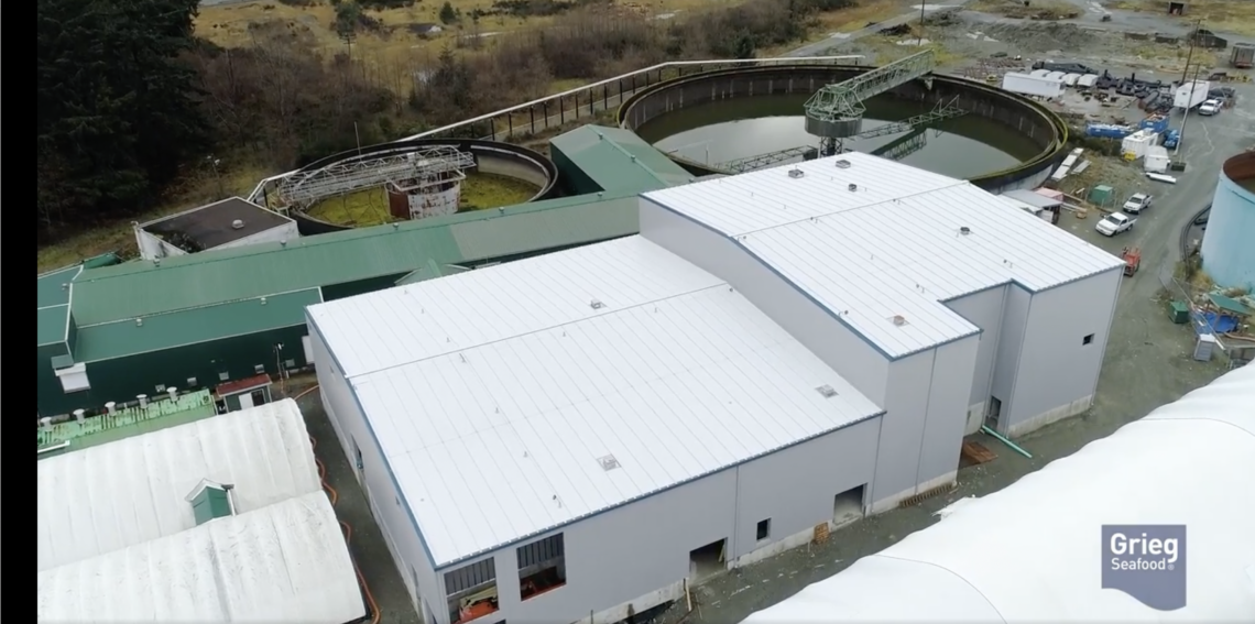 Grieg Seafood to double smolt capacity at BC hatchery | SalmonBusiness