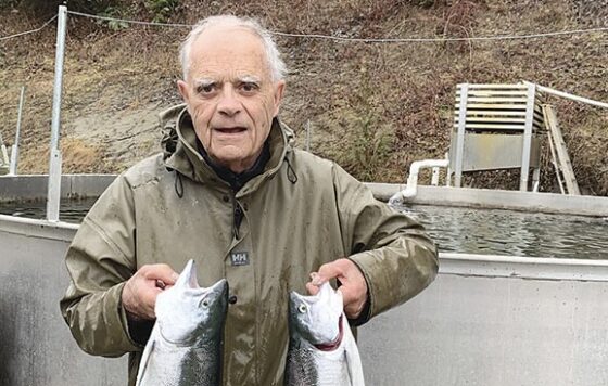 Sockeye farmer undeterred by healthy returns of wild sockeye to BC ...