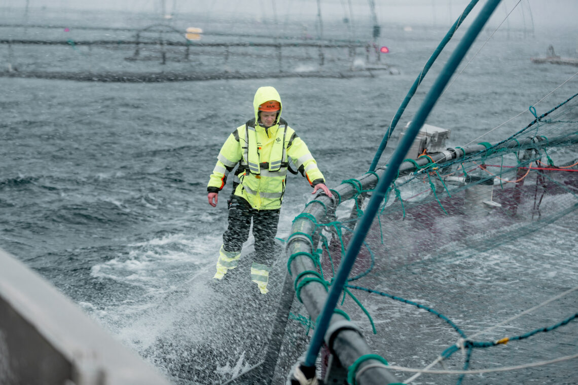 Potential outbreak of ISA detected at site with more than 500,000 fish ...