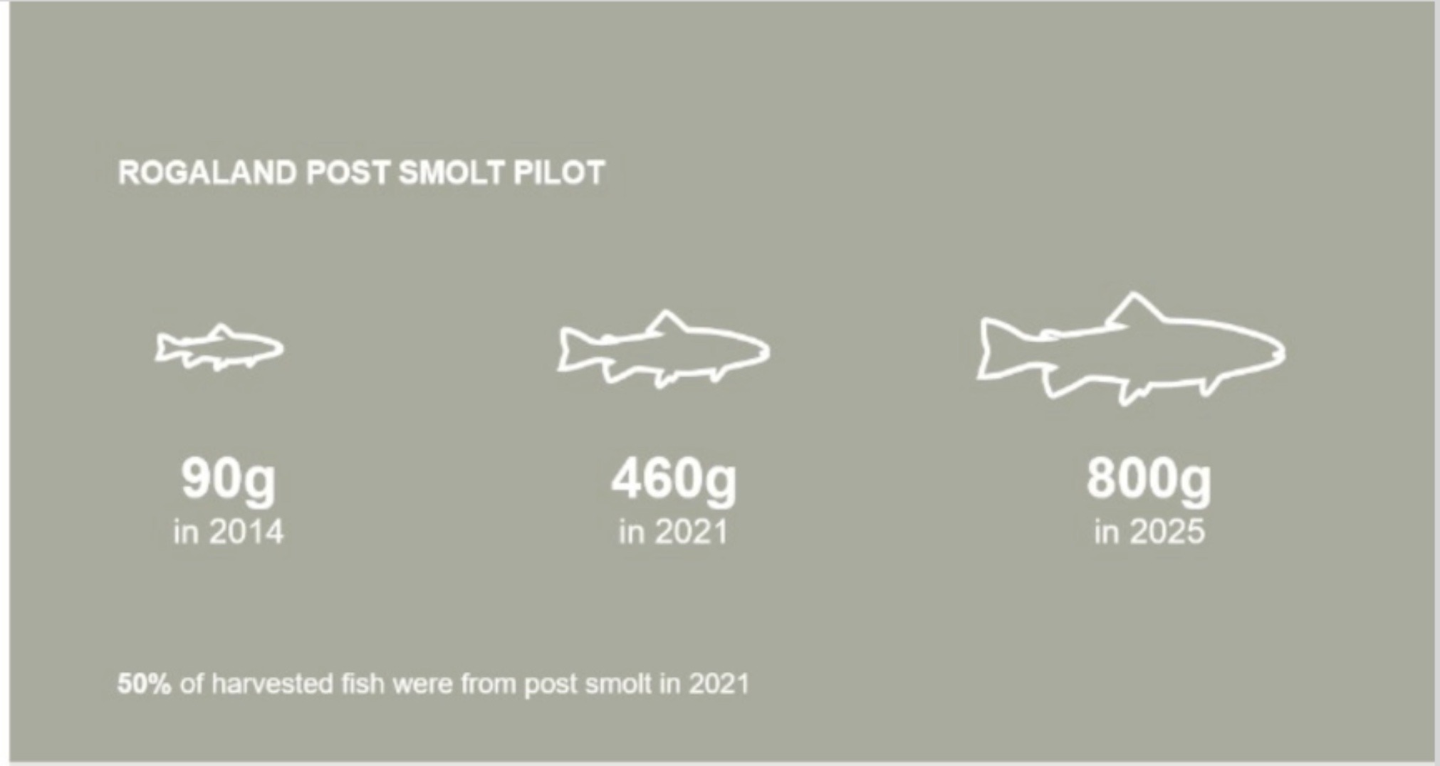 Post-smolt initiatives are 'a very safe bet,' will drive growth for farmers