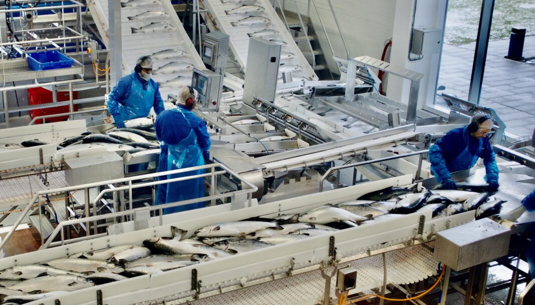 Uncertainty about the financing of SalMar’s acquisition of NTS ...