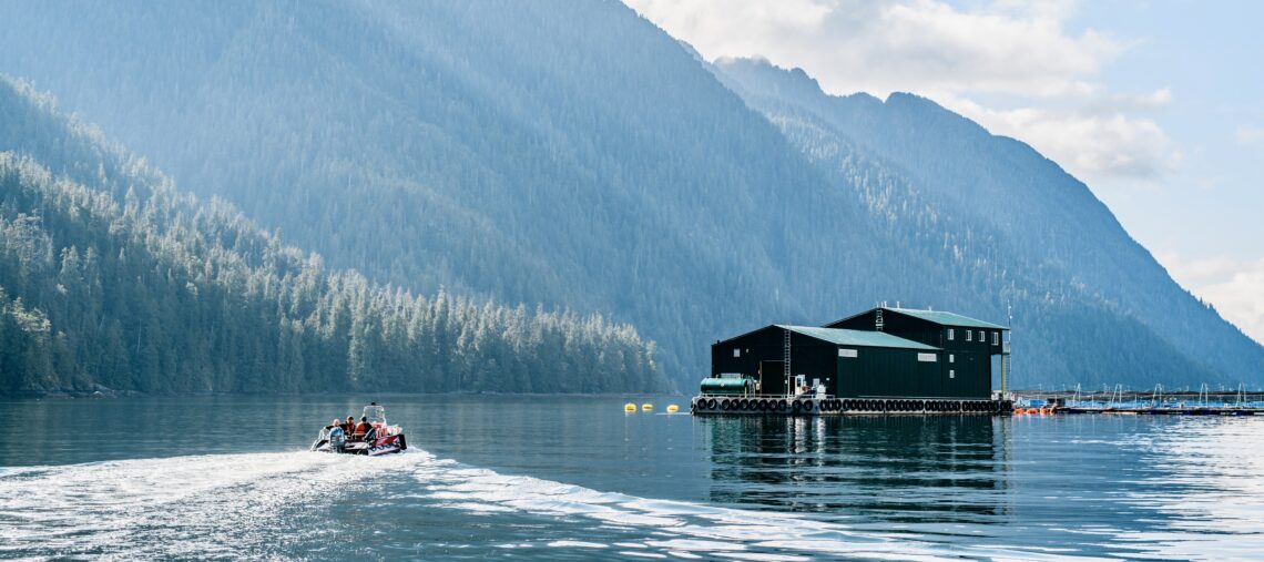 Canada: salmon farmers challenge conservation group over federal wild ...