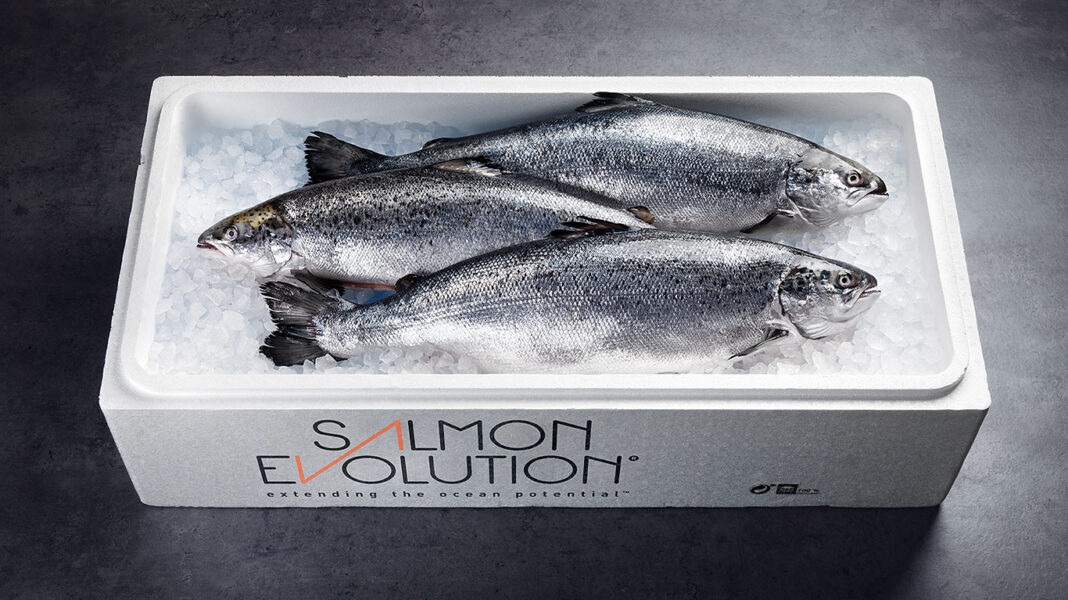 Salmon Evolution: reports Q1 harvest of 1,765 tonnes | SalmonBusiness