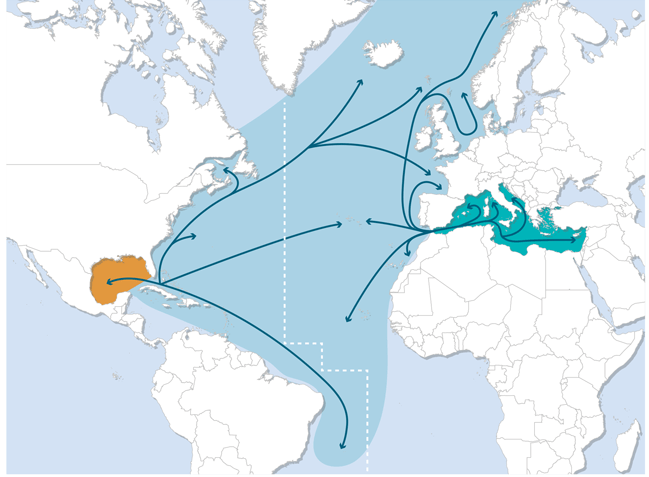 300kg of angry bluefin caught in your pen? The Norwegian government has ...