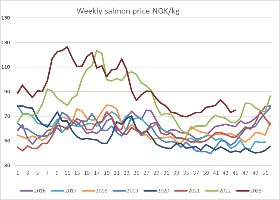 Salmon markets tighten following correction | SalmonBusiness