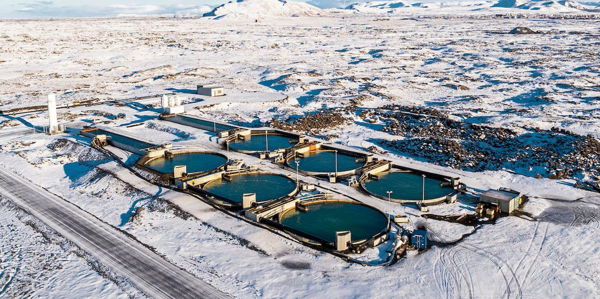 Matorka’s quick pivot post-quake: New processing plant sees holiday ...