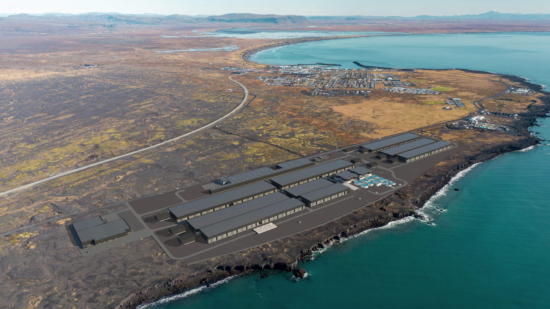 Iceland’s First Water launches export sales of 5 kg salmon | SalmonBusiness