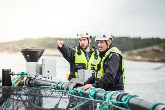 AI aquaculture firm OptoScale lands US investor to drive next growth ...
