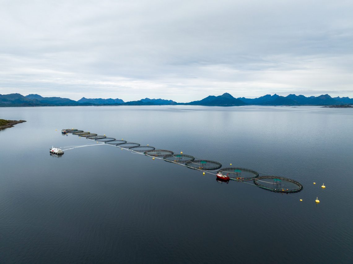 Mowi Scotland doubles down on seabed data with dedicated vessel ...