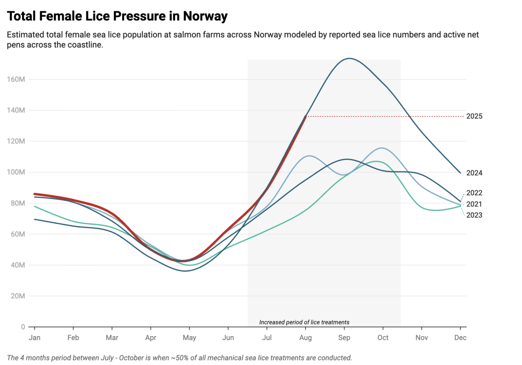 Norwegian farms caught in ‘game theory trap’ on sea lice strategy ...